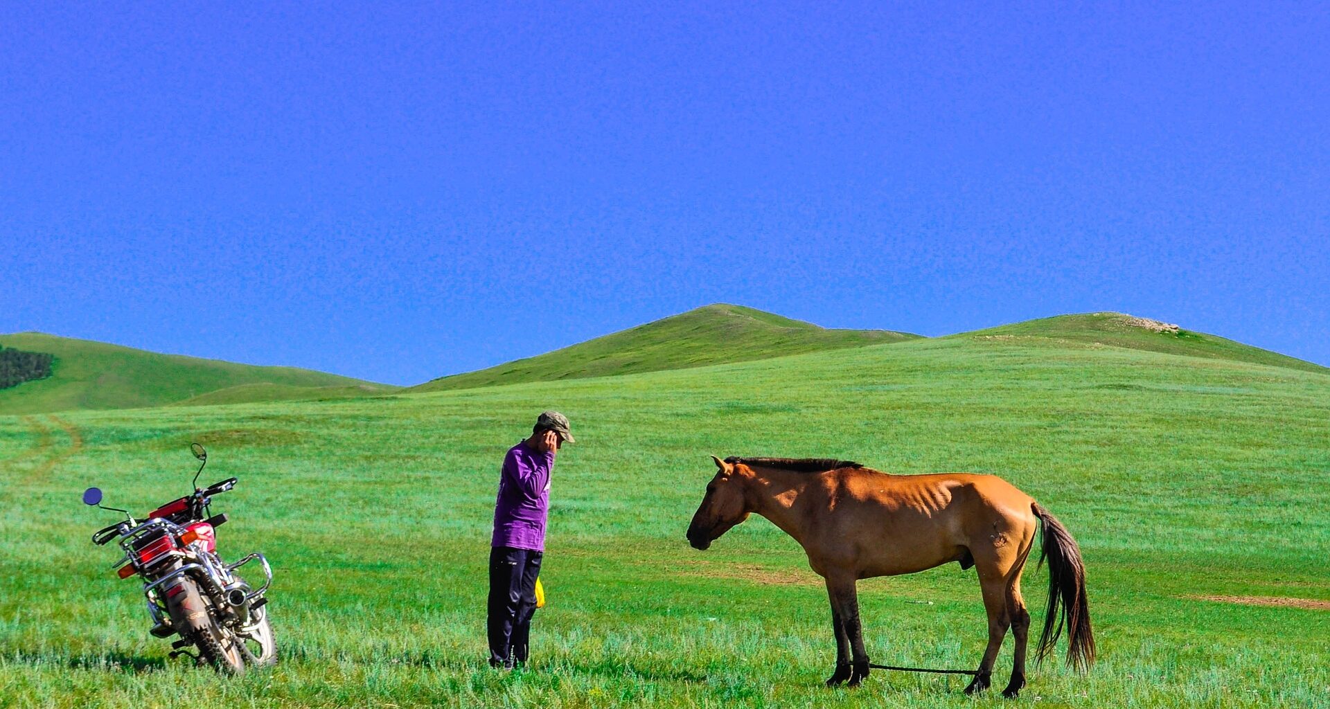 Mongolia Business - Page 2 of 10 - Investment, Trade & Consulting